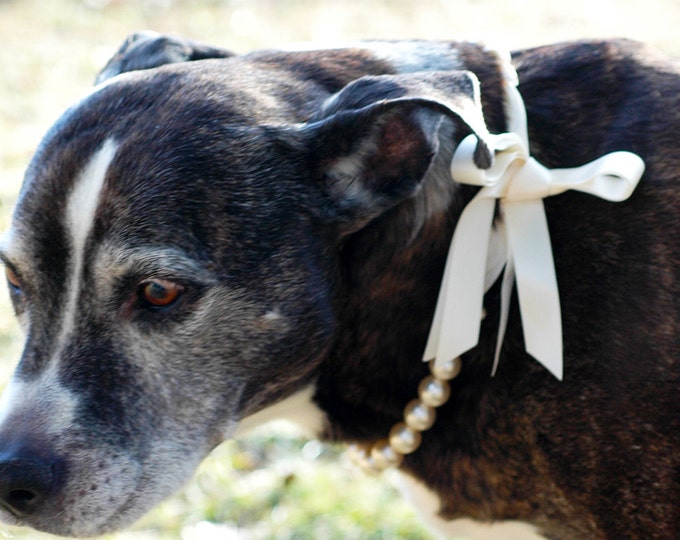 Dog Flower Girl Creme Pearl Necklace W Ribbon Tie - Etsy