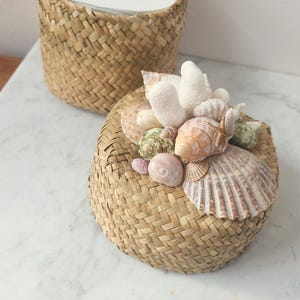 Coastal Grandma Sea Shell Toilet Paper Storage, Sea Shell Table Décor ...