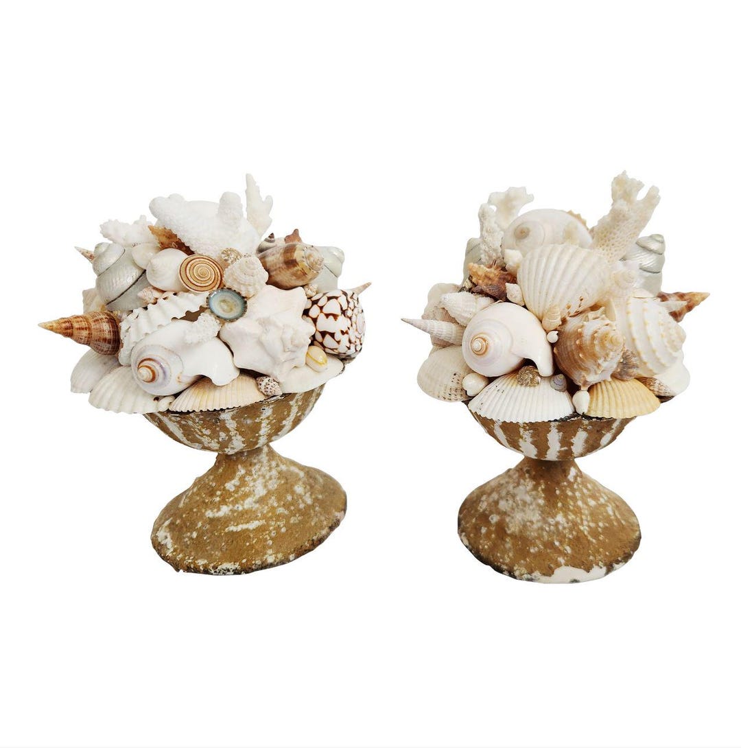 A Pair of Sea Shell Centerpieces, Coffee Table Décor, Coastal Grandma ...