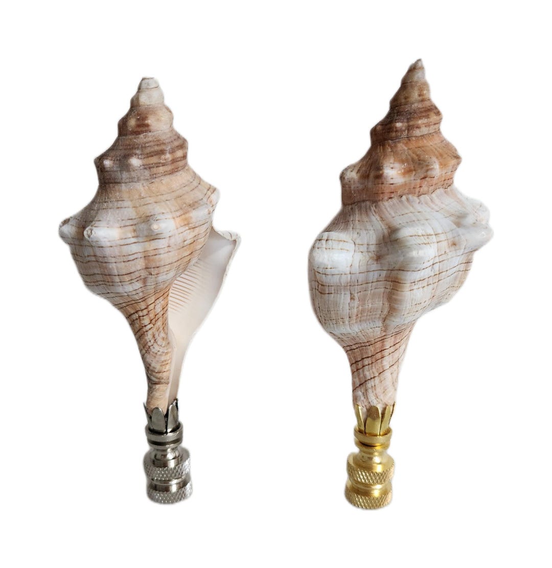 Fox Shell Sea Shell Lamp Finial, Beach Coastal Home Décor, Coastal ...
