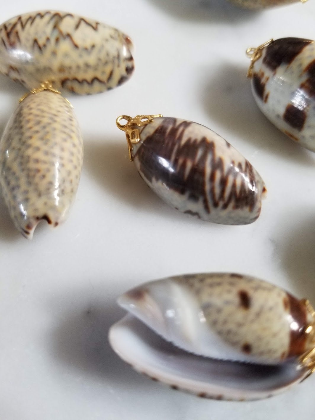 Natural Sea Shell Pendant Sea Shell Pendant Sea Shell Charm | Etsy