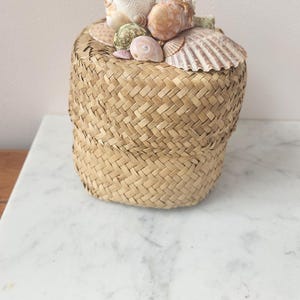 Coastal Grandma Sea Shell Toilet Paper Storage, Sea Shell Table Décor ...