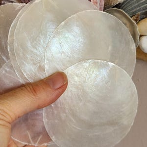 Shell Place Cards, Bulk Buy Capiz Seashells Round 3" Flat Shells ...