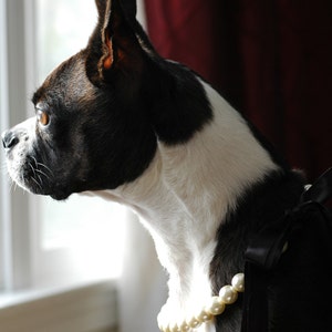 Dog Flower Girl Creme Pearl Necklace W Ribbon Tie - Etsy