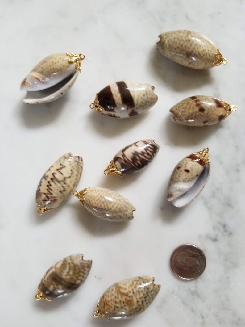 Natural Sea Shell Pendant Sea Shell Pendant Sea Shell Charm | Etsy