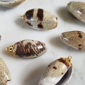 Natural Sea Shell Pendant, Sea Shell Pendant, Sea Shell Charm Supplies ...