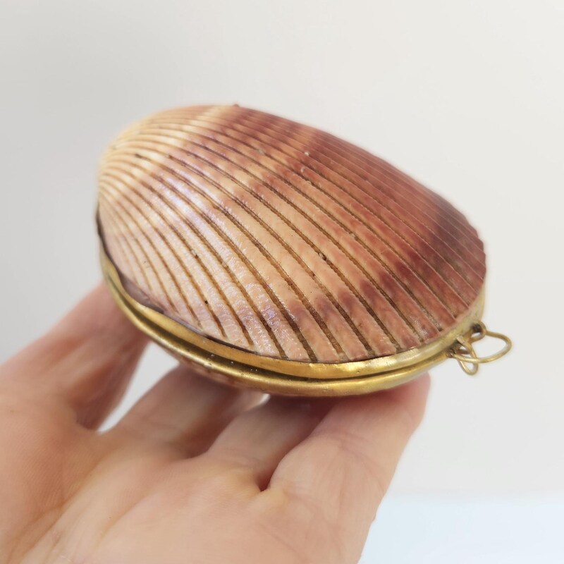 Shell Pill Box - Etsy