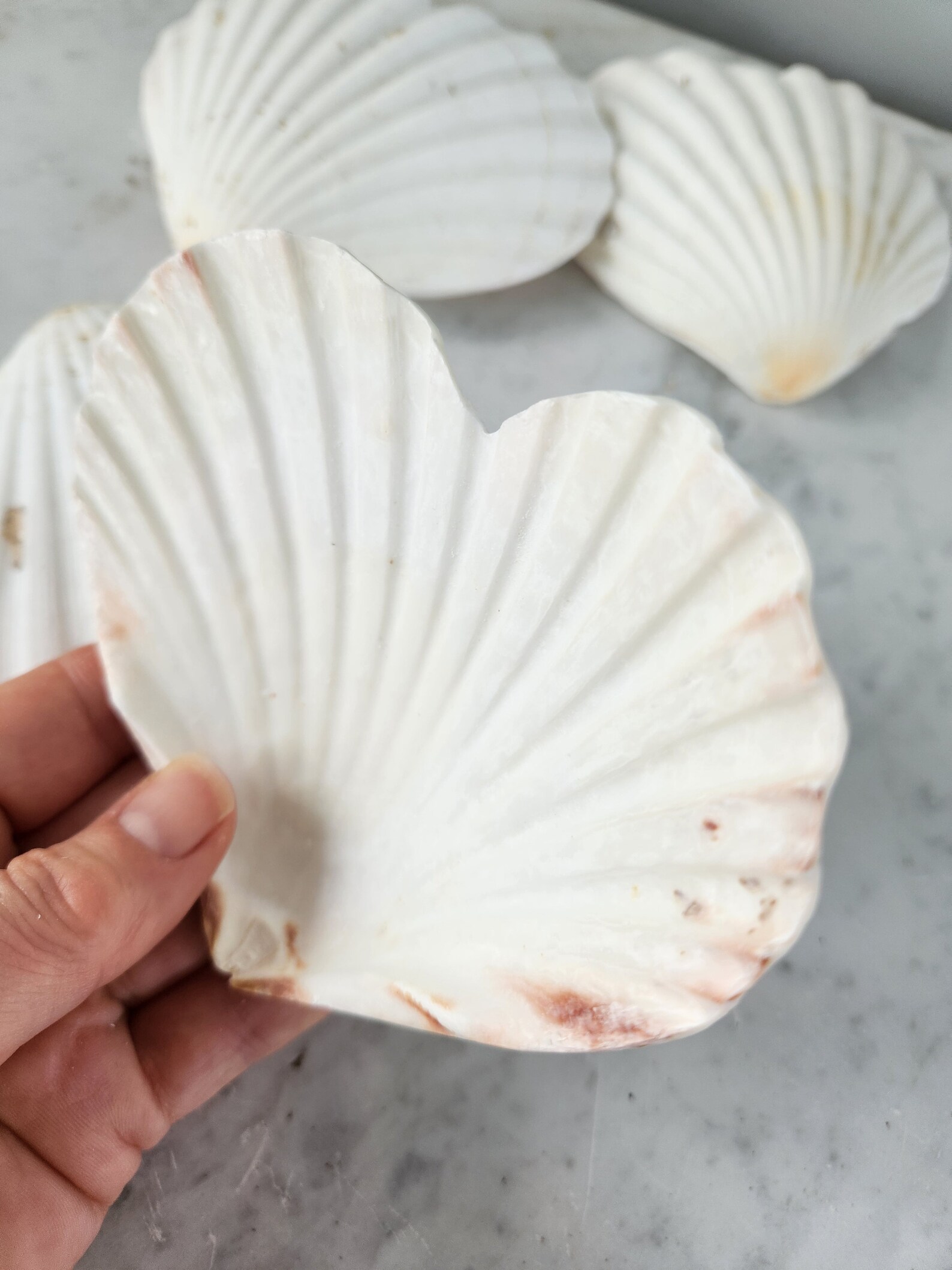 Heart Shaped Irish Baking Shells, Decoupage Scallop, Wedding Decoration ...