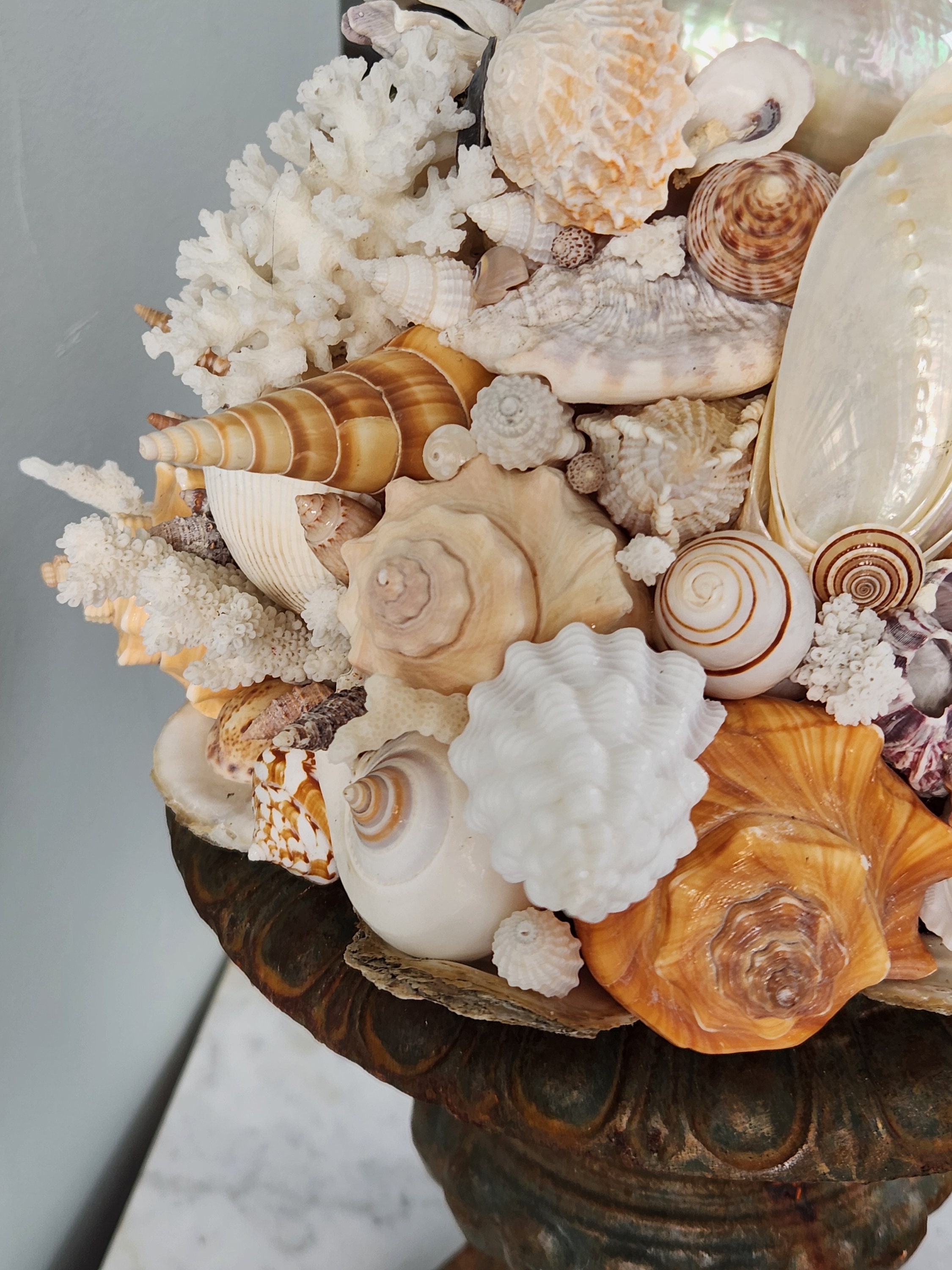 Seashell and Cast Iron Urn Sculpture Topiary Table Centerpiece | Coast ...