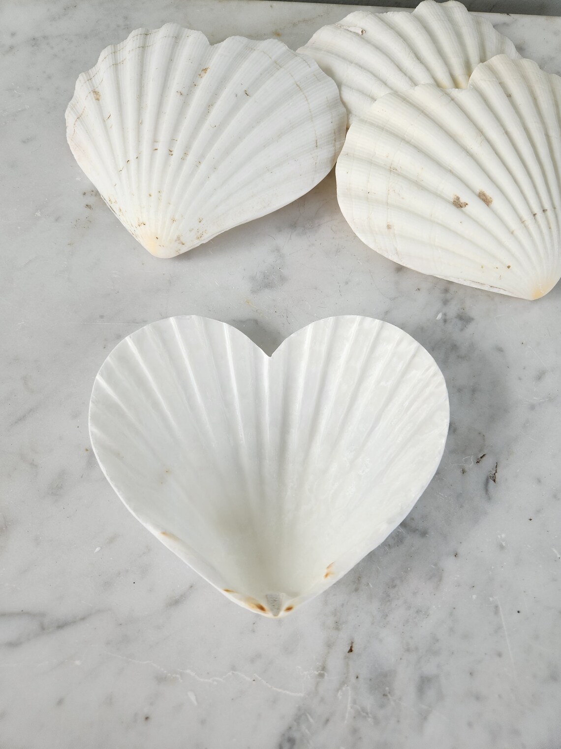 Heart Shaped Irish Baking Shells, Decoupage Scallop, Wedding Decoration ...