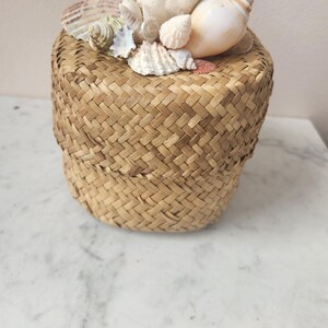 Coastal Grandma Sea Shell Toilet Paper Storage, Sea Shell Table Décor ...