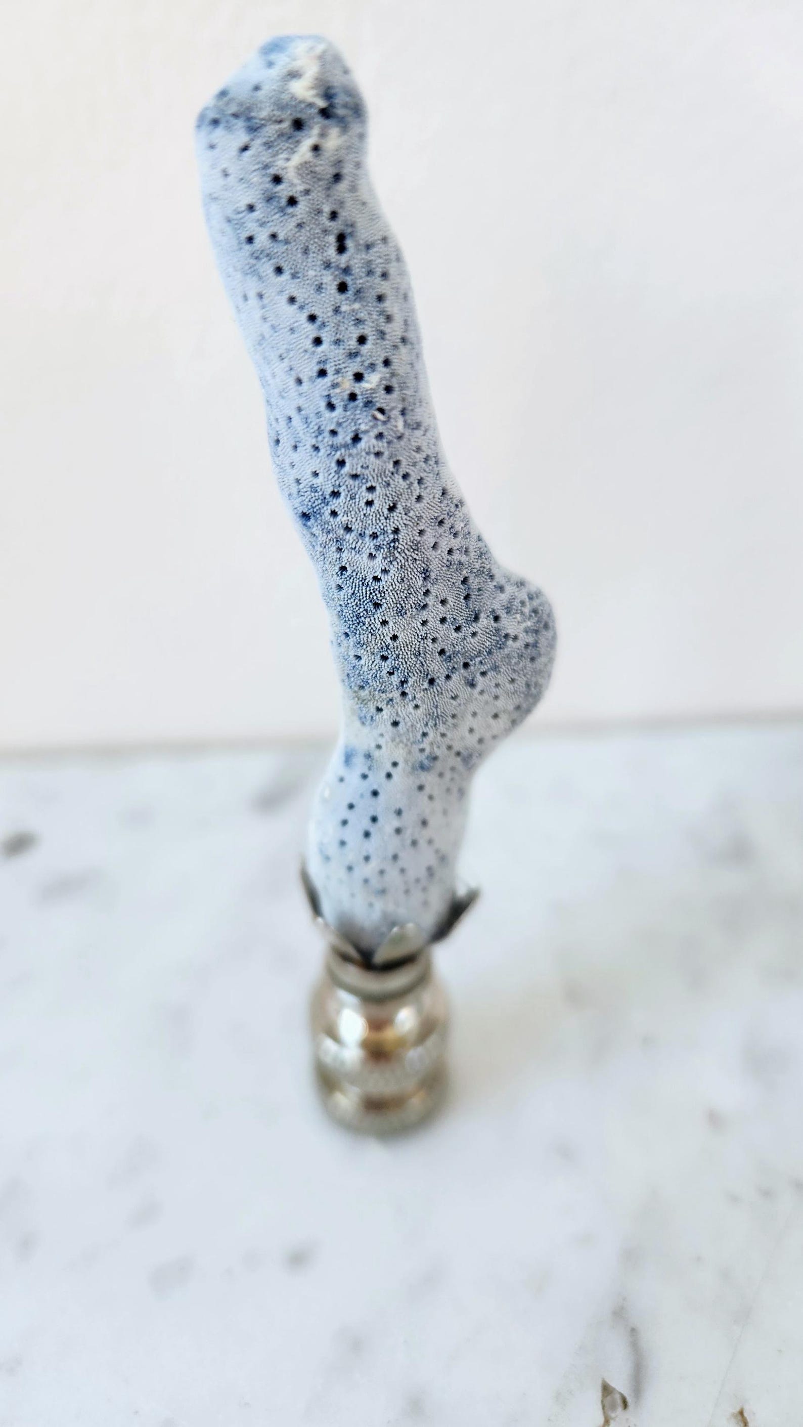 Genuine Blue Coral Lamp Finial, Ocean Lamp Finial, Nautical Finial ...