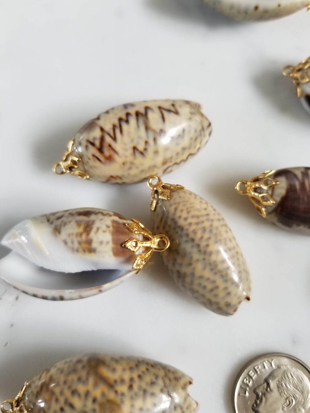 Natural Sea Shell Pendant, Sea Shell Pendant, Sea Shell Charm Supplies ...