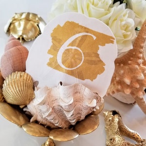 Natural White Sand Dollar Table Numbers for Beach Theme Centerpiece ...