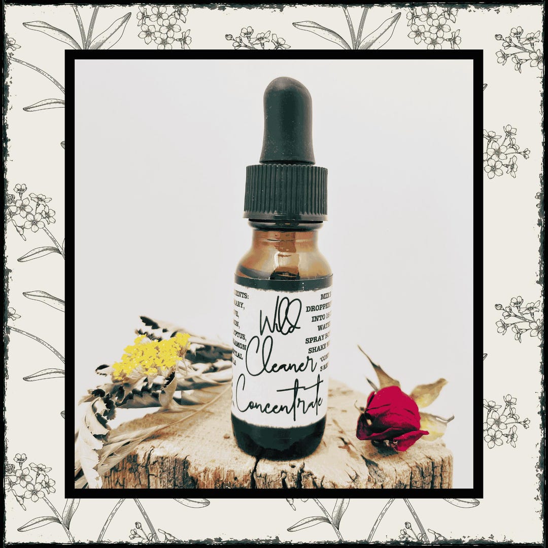 Wild Cleaner Concentrate: Natural Multi Surface Cleaner Refill - Etsy