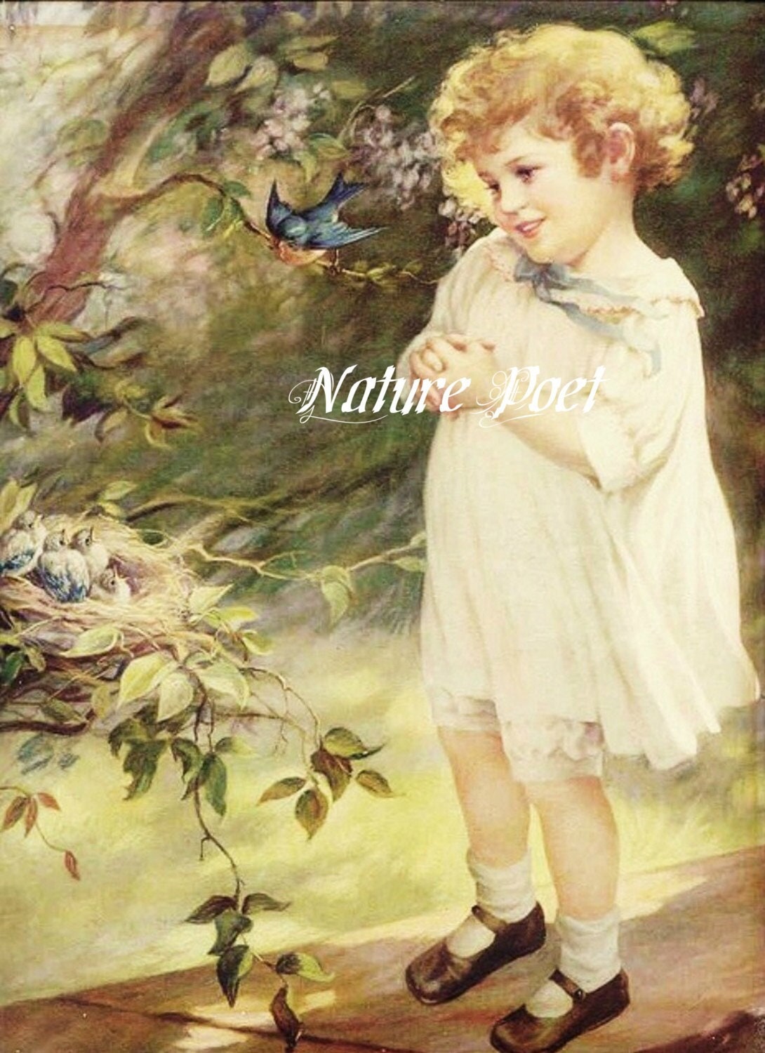 Zula Kenyon Prints for sale | Only 3 left at -75%