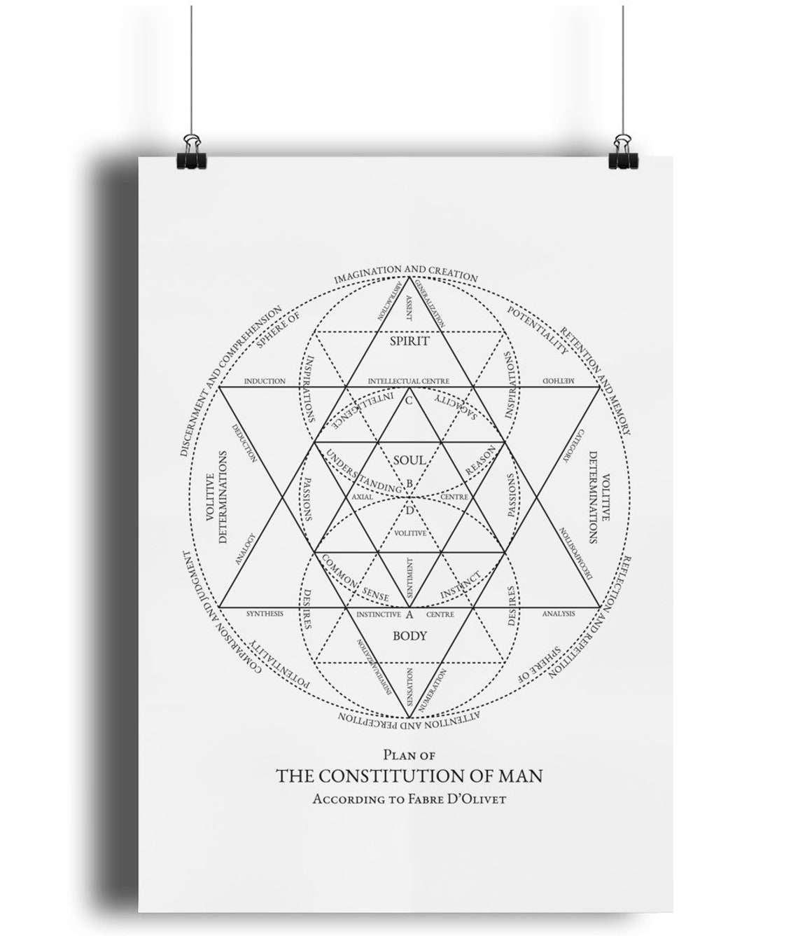 The Constitution of Man Poster - Etsy