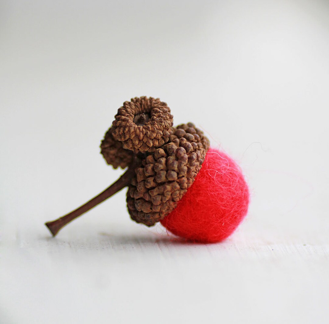 Set of 24 RED Wool Felted Acorns| Boho, Cottage Chic, Woodland, Rustic ...