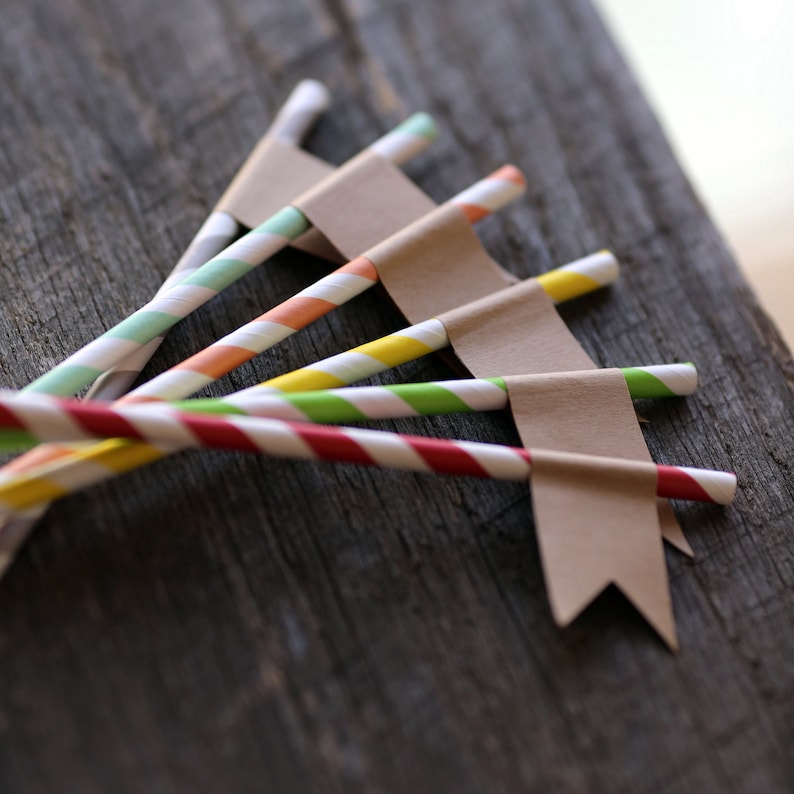 Paper Straws With Kraft Flag Set of 24 Custom Printing | Etsy