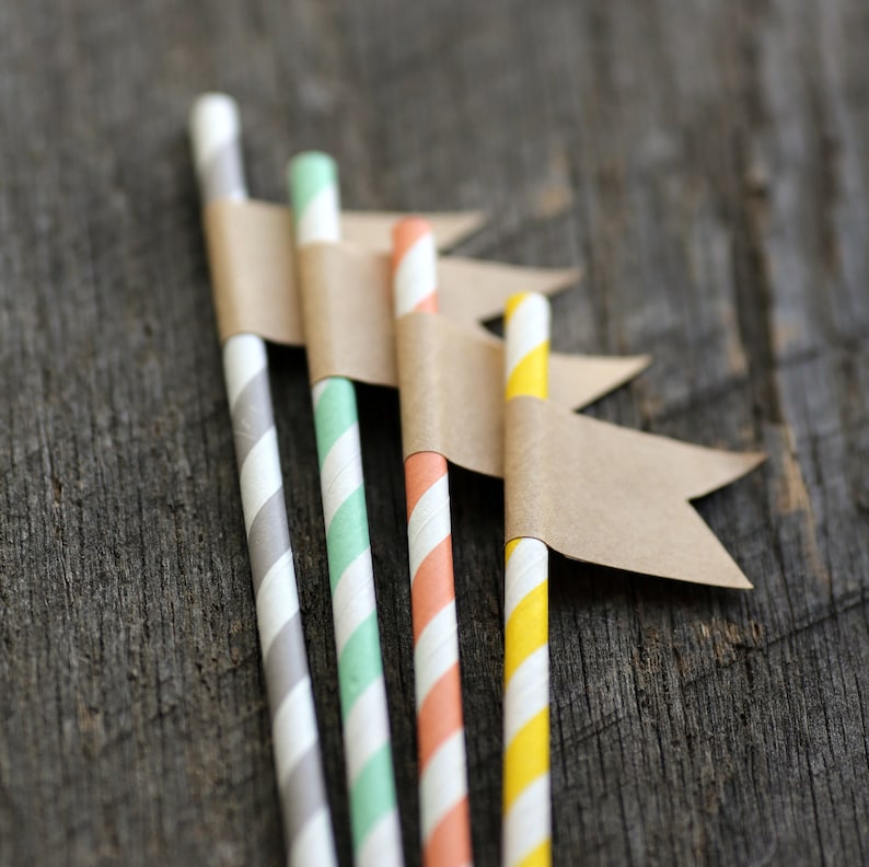 Paper Straws With Kraft Flag Set of 12 Custom Printing - Etsy