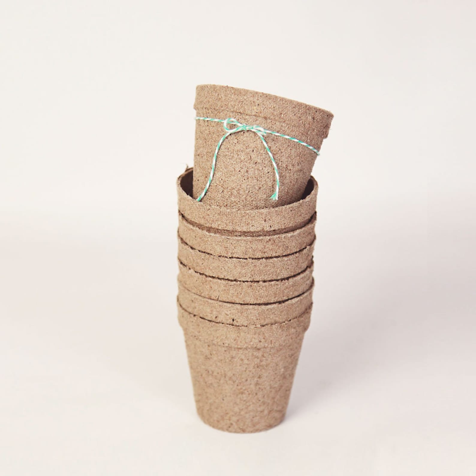 Biodegradable Pulp Containers Succulent Favor Pots Set of - Etsy