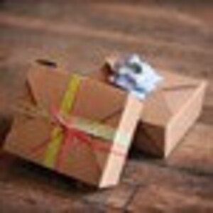 Set of 12 Large Bio-plus Earth Boxes, Microwavable Take Out Boxes ...