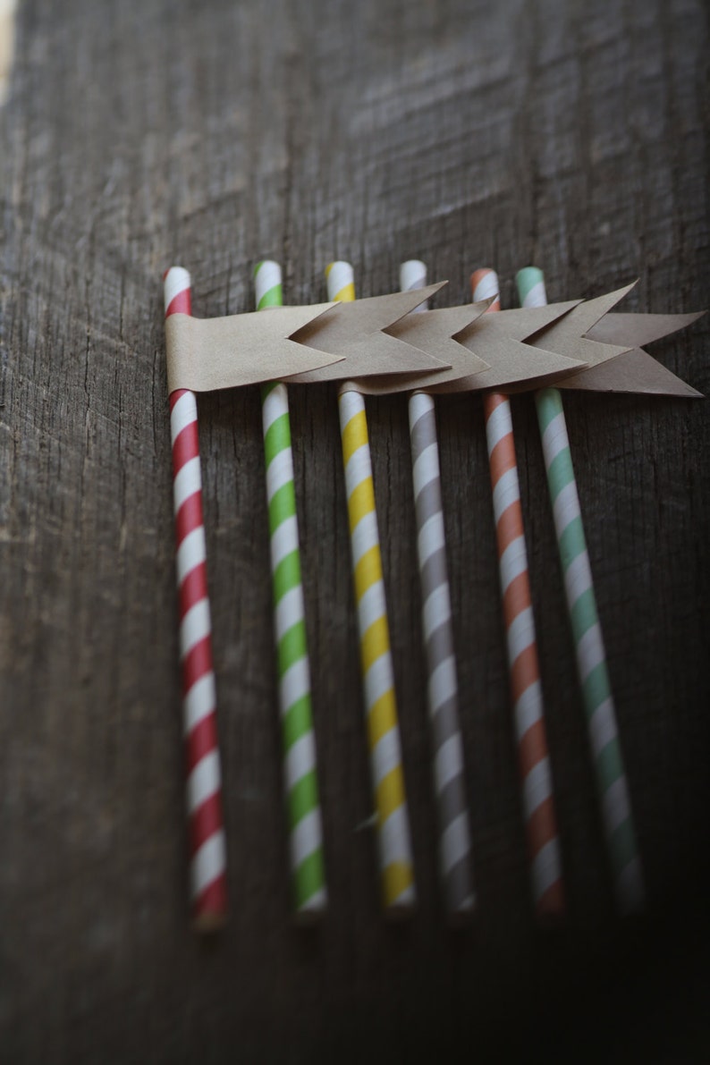 Paper Straws With Kraft Flag Set of 24 Custom Printing | Etsy
