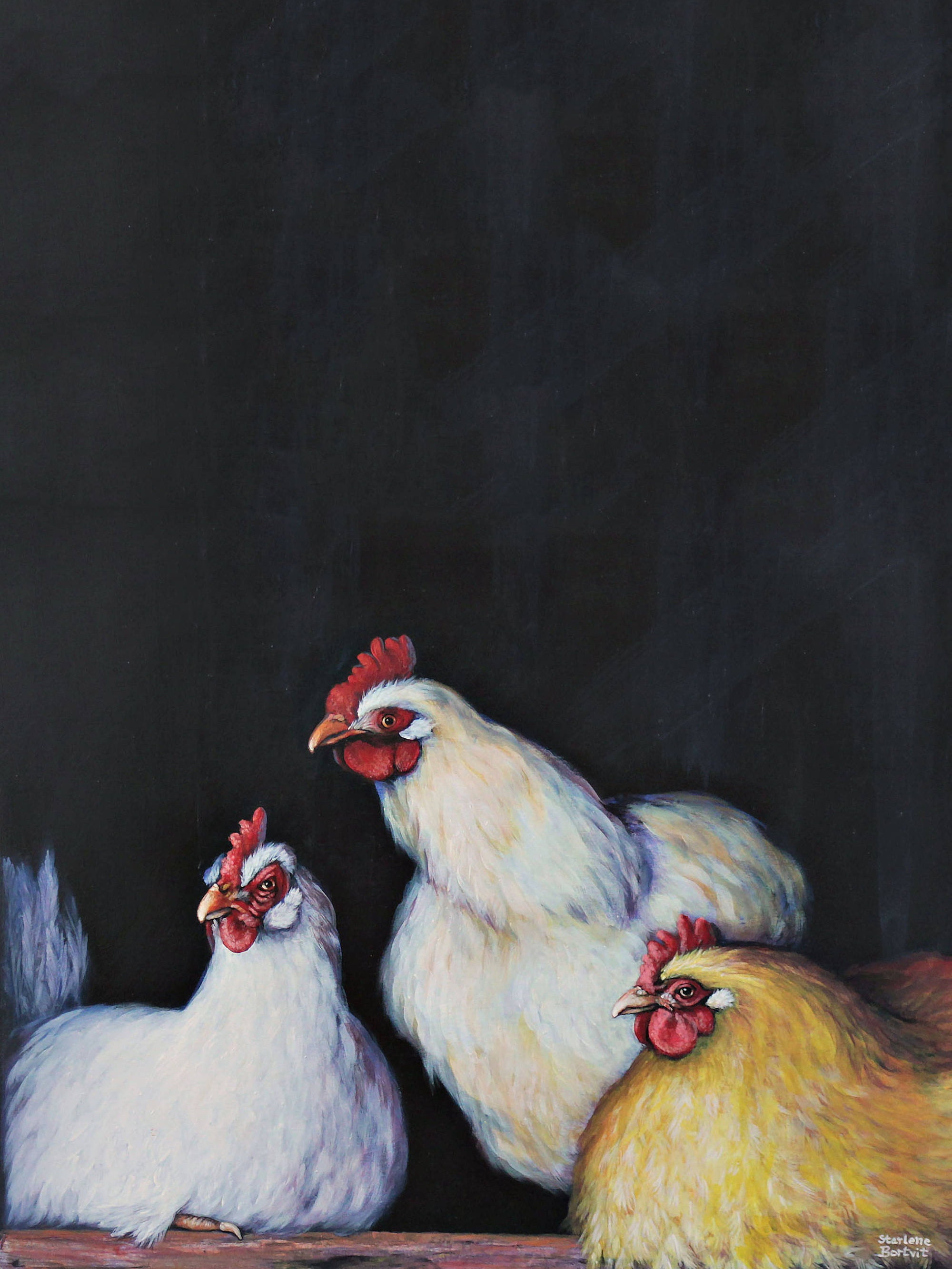 Three Hens Matte Print Various Sizes Chicken Art Print | Etsy