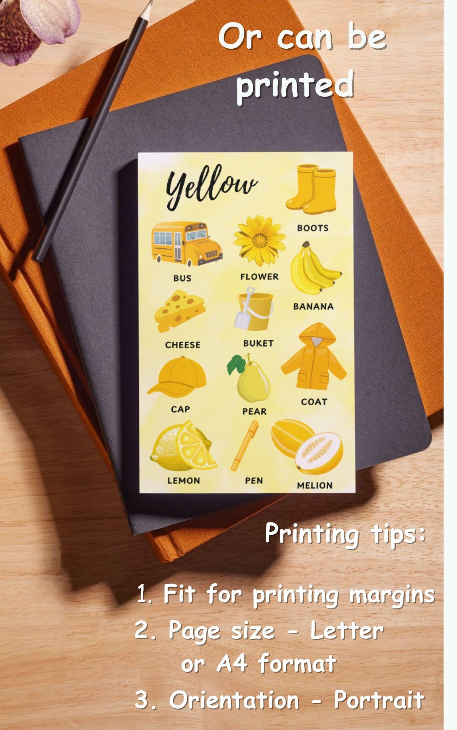 Learn Colors & First Words Book for Kids, Educational Board Book ...