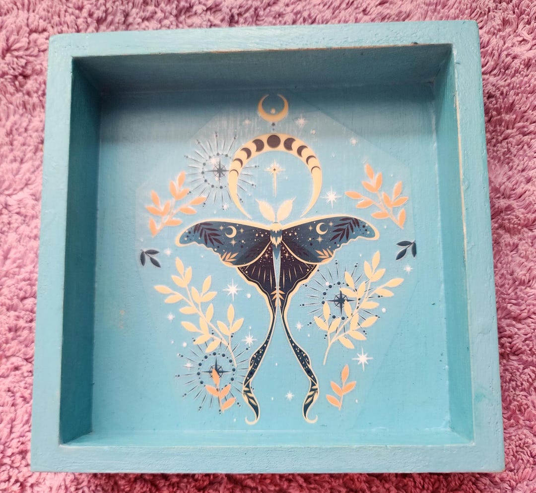 Handmade Mini Shadow Box With Lunar Moth - Etsy
