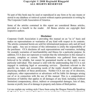 The Billionaire's Business Blueprint: A Step by Step Guide to Establishing Platinum Corporate ...