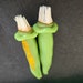 Vintage Serv-rite Deluxe Corn Service Set - Etsy