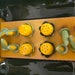 Vintage Serv-rite Deluxe Corn Service Set - Etsy