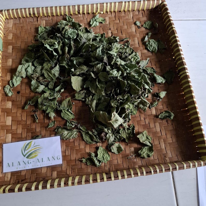 Daun Tembelekan (lantana Camara) Shrub Verbena Dried Leaves - Etsy