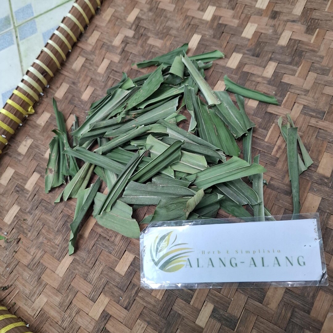 Daun Pandan Wangi (pandanus Amaryllifolius) Dried - Etsy