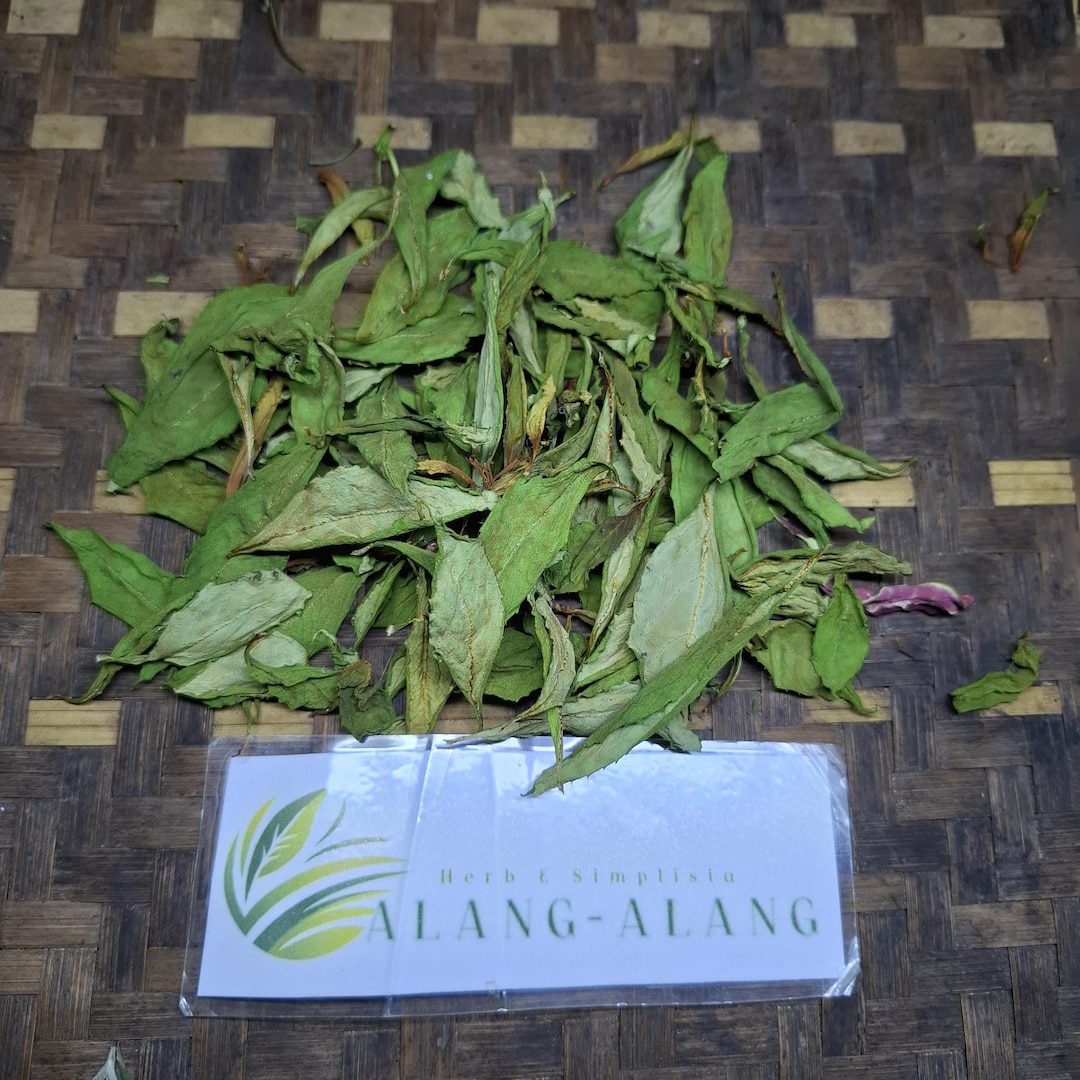 Daun Pacar Air ( Impatiens Balsamina ) Rose Balsam Dried Leaves - Etsy