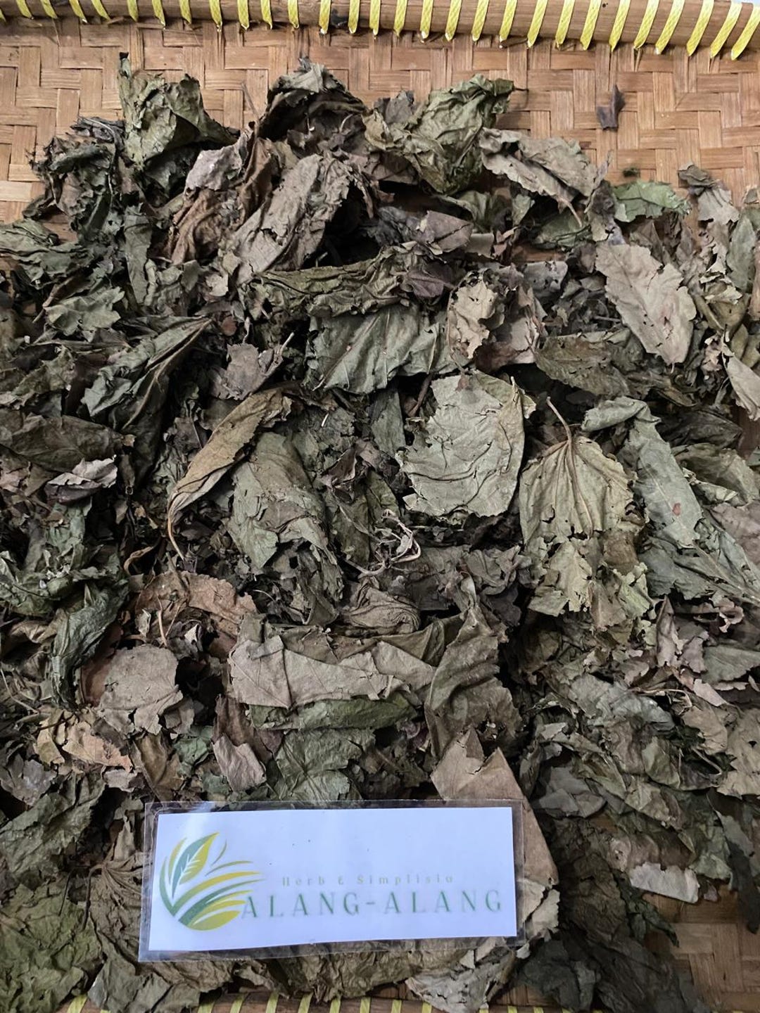 Daun Jati Belanda (guazuma Ulmifolia) West Indian Elm Dried Leaves - Etsy