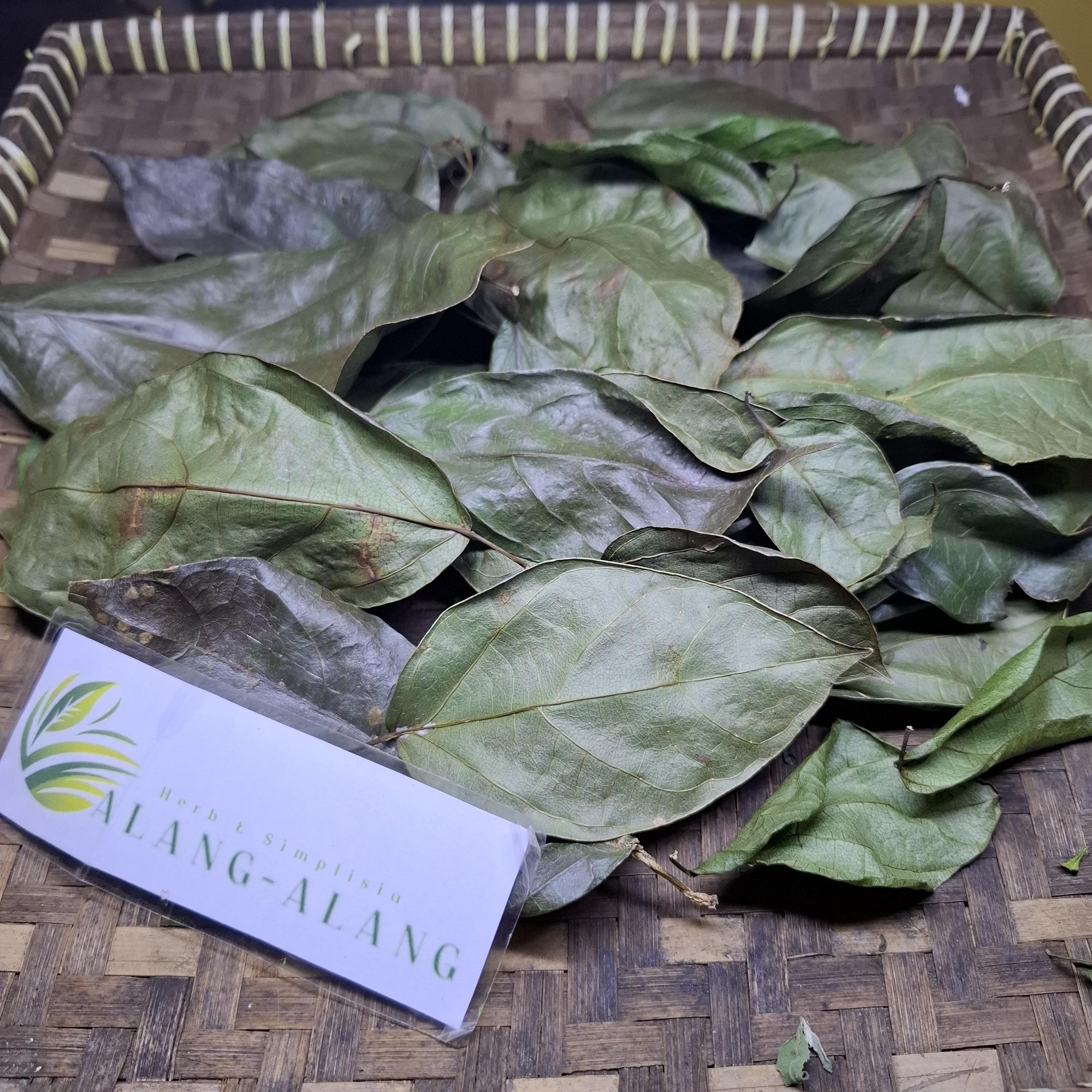 Daun Cincau Perdu (premna Trichistoma) Jukut Jelly Dried Leaves - Etsy