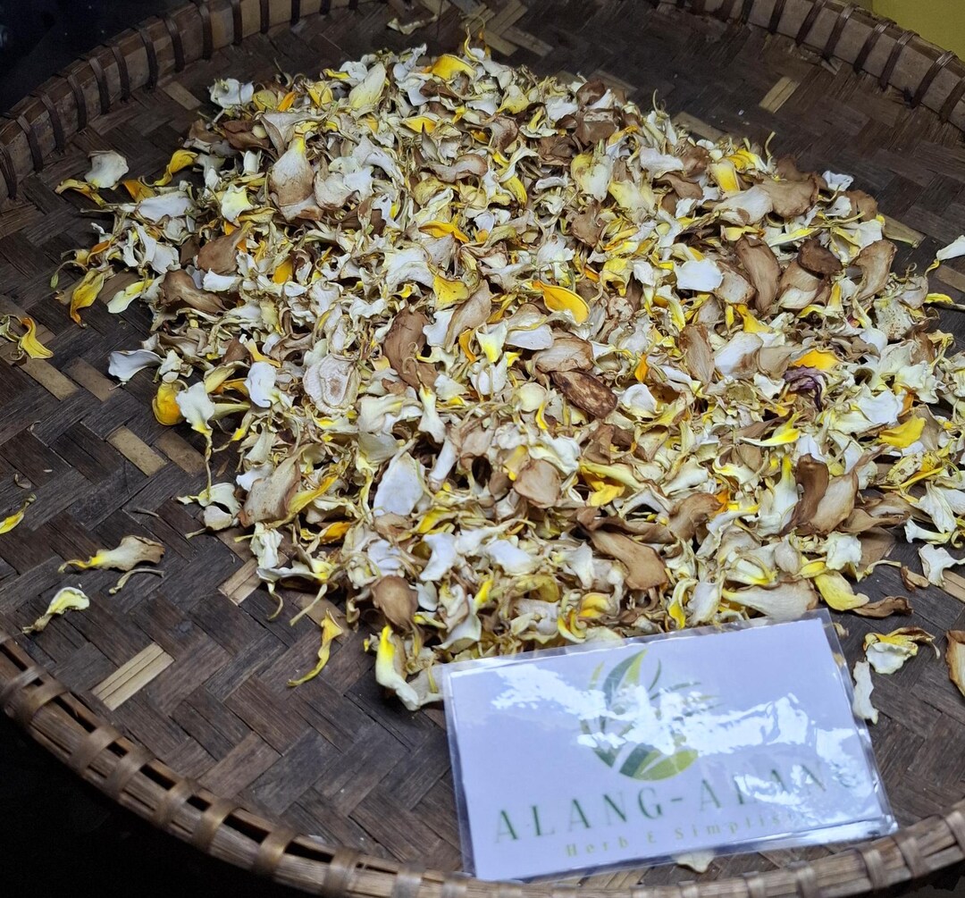 Bunga Kamboja (plumeria) Frangipani dried - Etsy