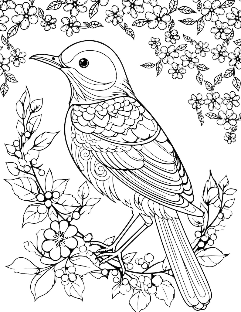 Bird Coloring Page: PDF Download - Etsy