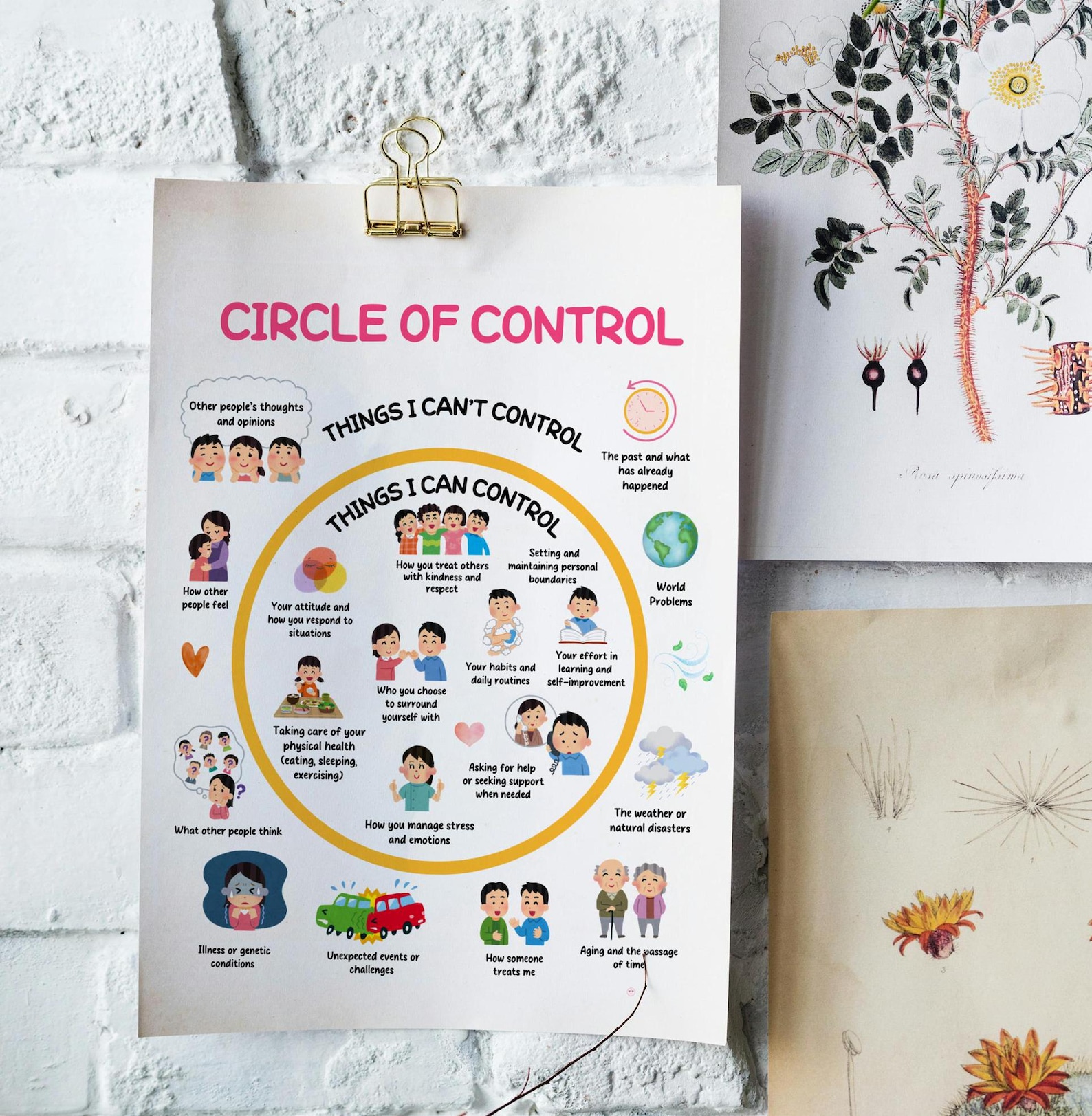 Circle of Control Poster: Therapy Office Decor (digital Download) - Etsy