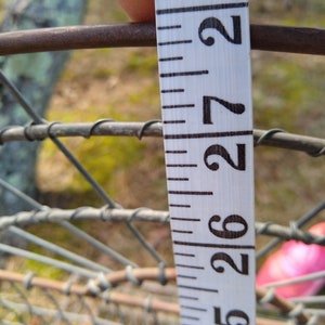 Rustic Wall Trellis Wire Planter, Large Vintage Rustic Wire Wall Garden ...