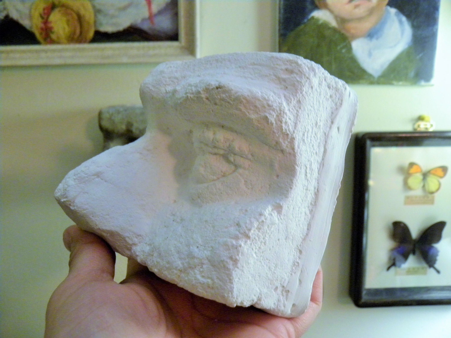 Anatomy Plaster Cast / Human Eye Artist Anatomy Cast / Art | Etsy