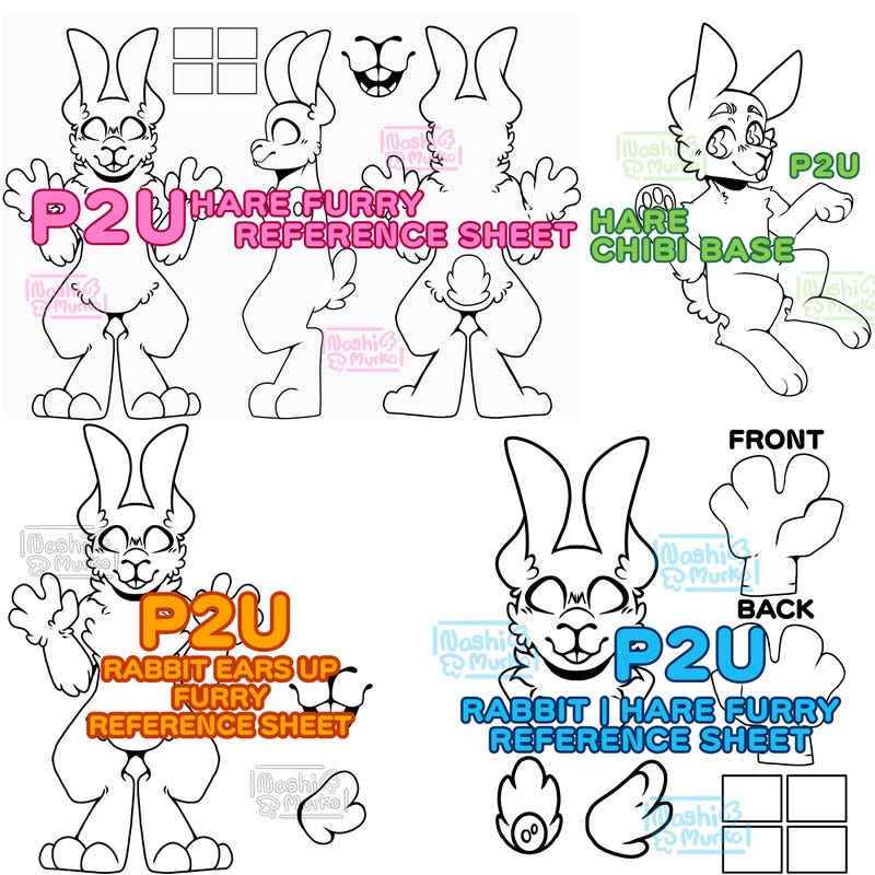 Rabbit Reference Sheet Base - Etsy