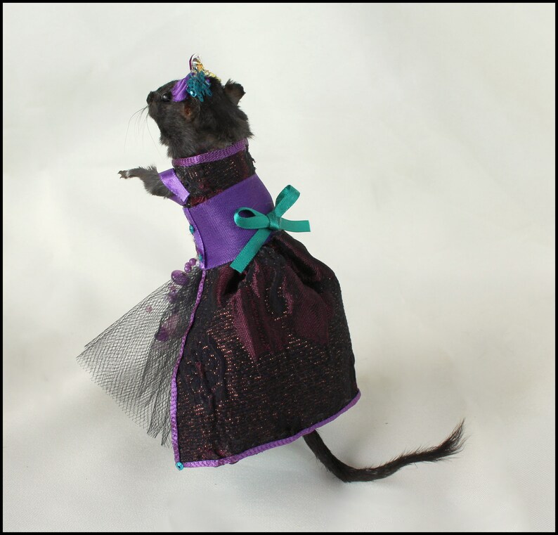 Taxidermy Gothic Goth Mouse Gerbil Ethical Witch - Etsy