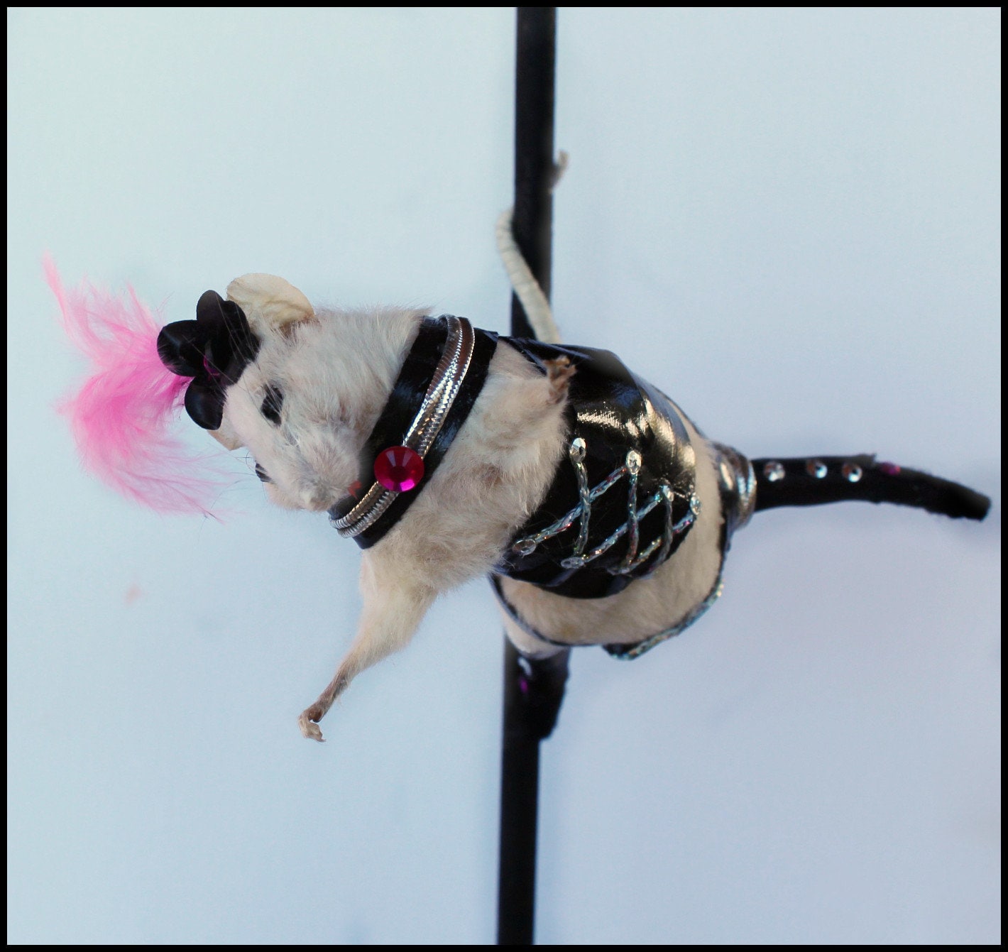Taxidermy Mouse Pole Dancer Burlesque Stripper Ethical Taxidermy Weird Art Mice Curiosity