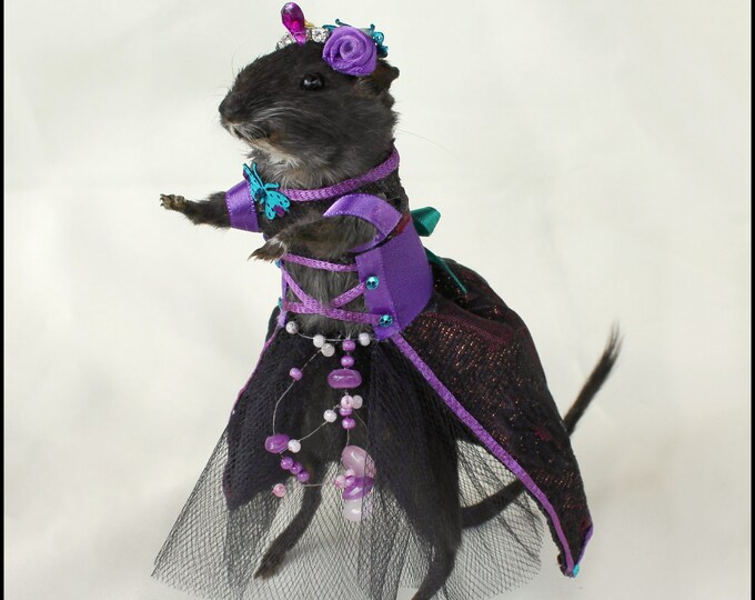 Taxidermy Gothic Goth Mouse Gerbil, Ethical Witch Micetaxidermy Mice ...