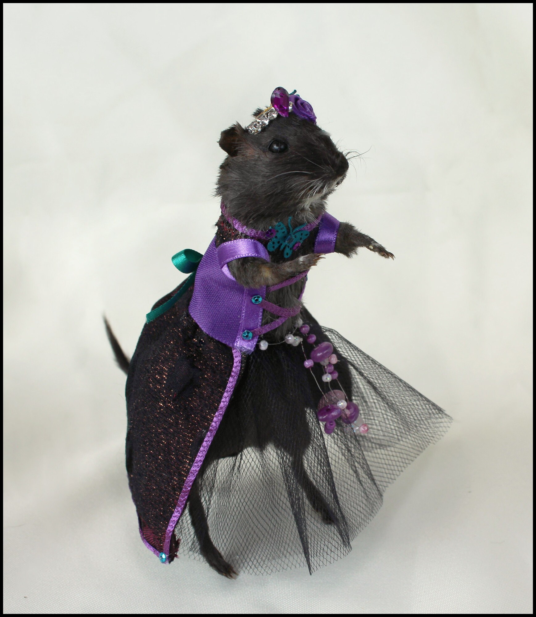 Taxidermy Gothic Goth Mouse Gerbil Ethical Witch - Etsy