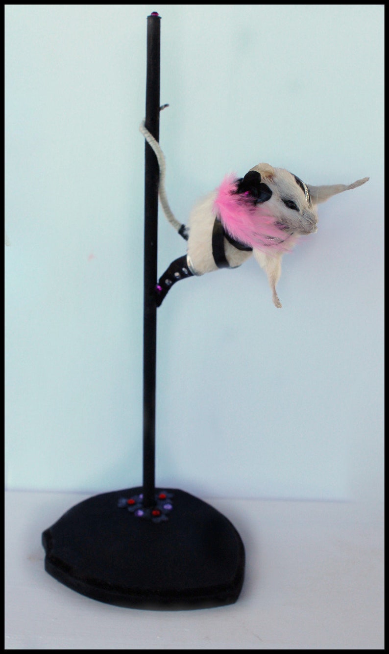 Taxidermy Mouse Pole Dancer Burlesque Stripper Ethical Taxidermy Weird Art Mice Curiosity