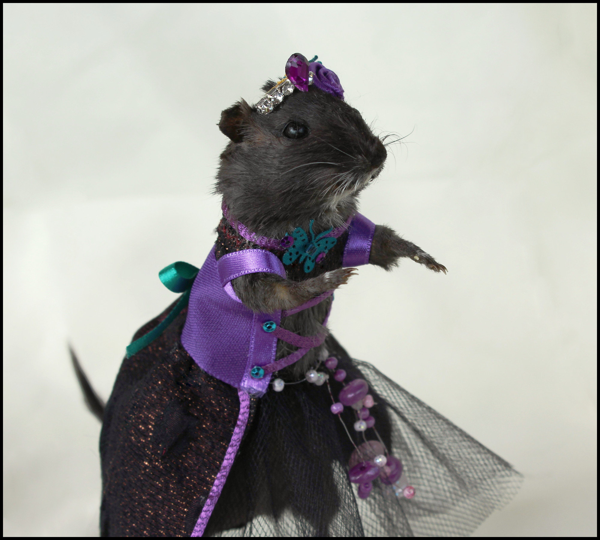 Taxidermy Gothic Goth Mouse Gerbil Ethical Witch - Etsy
